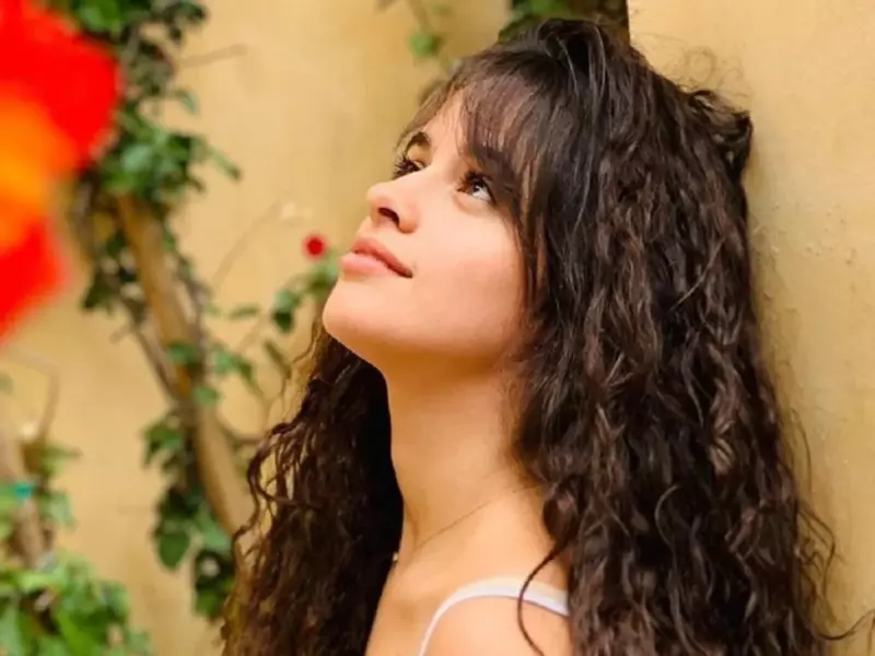 Camila Cabello gives the middle finger salute in a tight gray dress as ...